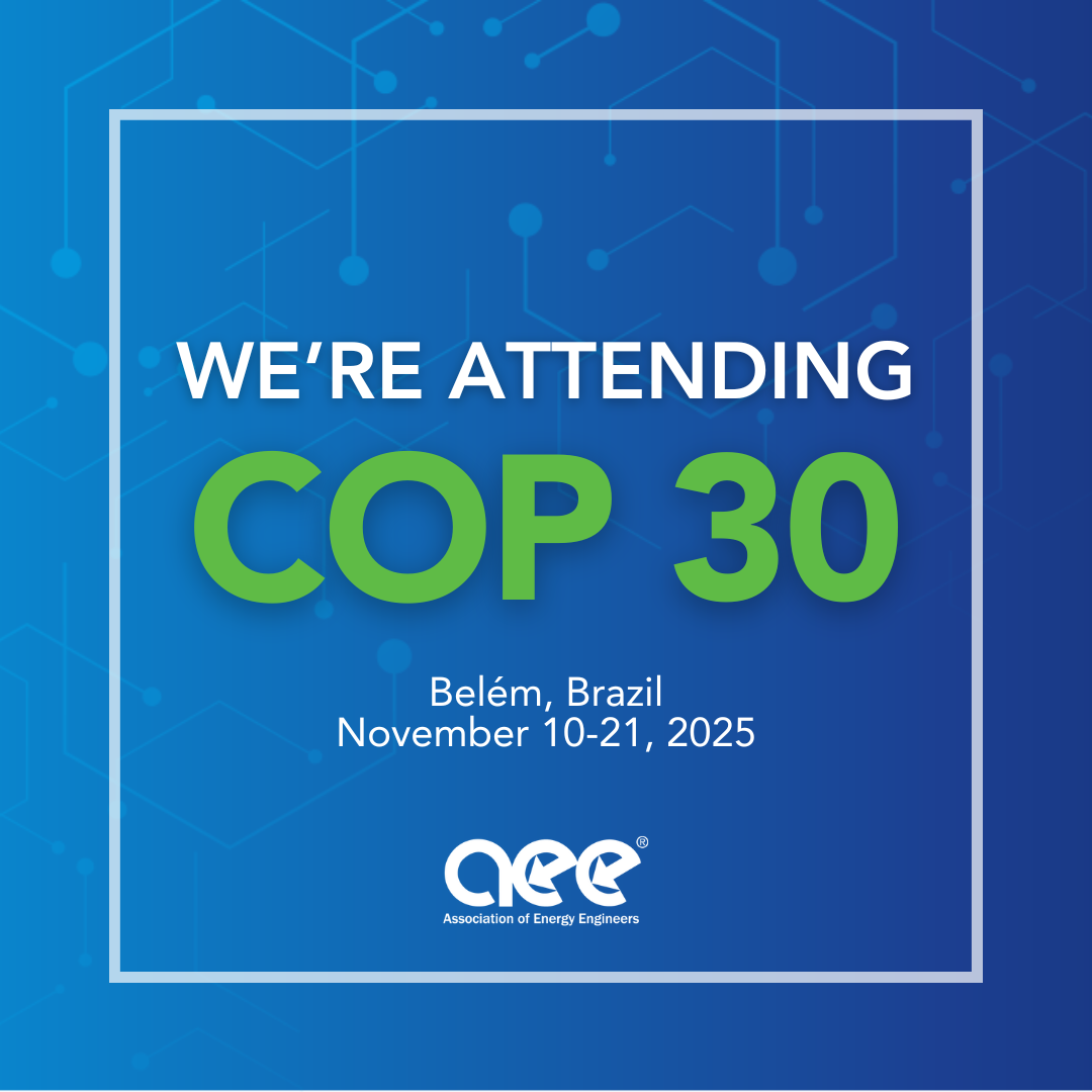 The Association of Energy Engineers to Participate in COP 30 in Brazil ...